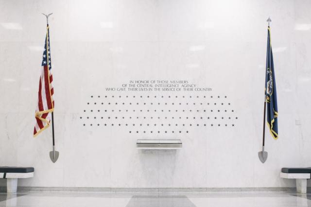 Remembering CIA Elizabeth Hanson (February 14 1979 – December 30 2009 ...