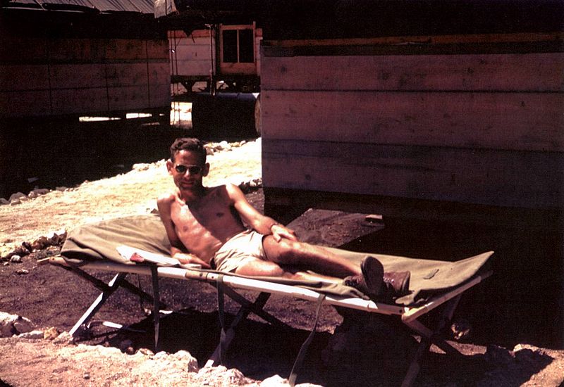 The Los Alamos Primer — An Introduction | Intel Today